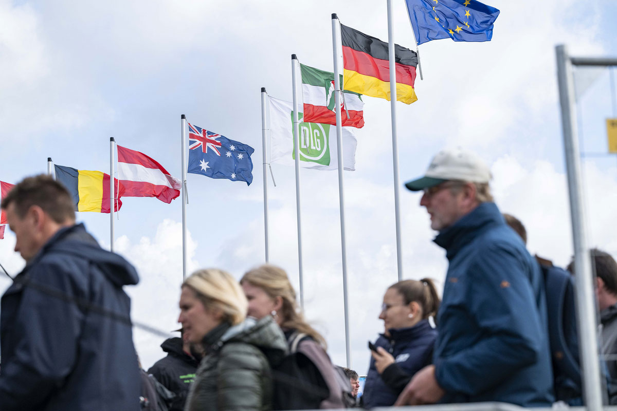 DLG Markets: International projects